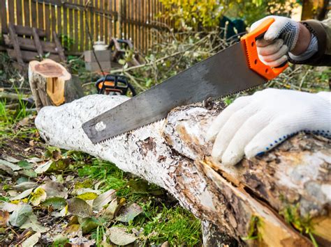 What Reciprocating Saw To Get Rmakita