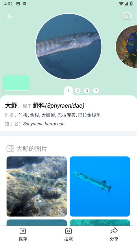 Picture Fish 鱼类识别APP V 安卓版下载 当下软件园