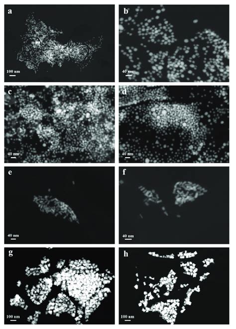 Sem Micrographs At Two Different Magnifications For Ab Aunps 1