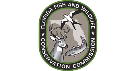 Ocean Career Florida Fwc Commission Marine Fisheries Management