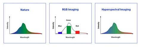 A Comprehensive Guide To Hyperspectral Imaging In Embedded Vision