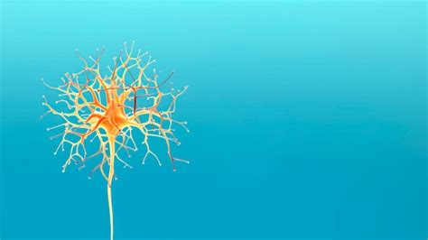 Premium Photo A System Neuron Of Brain With Synapses And Electrical