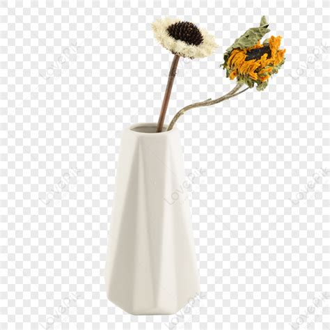 흰색 꽃병으로 말린 된 꽃 꽃다발광고하는건화 Png 일러스트 무료 다운로드 Lovepik