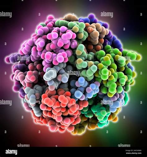 Insulin Molecule Computer Model Showing The Structure Of A Molecule Of The Hormone Insulin