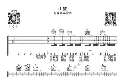 万能青年旅店《山雀》吉他谱c调吉他弹唱谱简单扫弦版 打谱啦