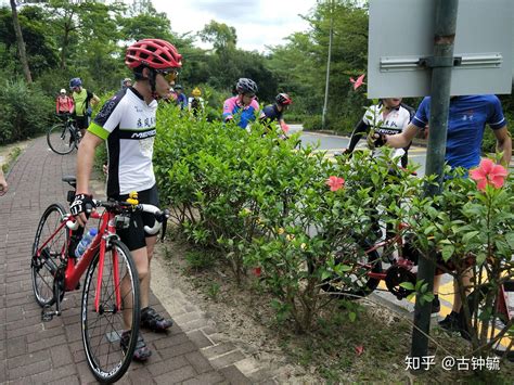 马峦山郊野徒步记 知乎