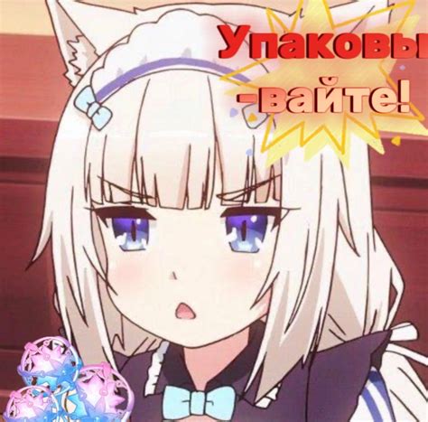 Genshin КИРАРА Genshin Impact Hoyolab