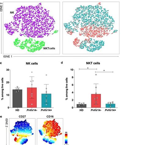 Nk And Nkt Cell Population Dynamics By Multiparametric Flow Cytometry Download Scientific