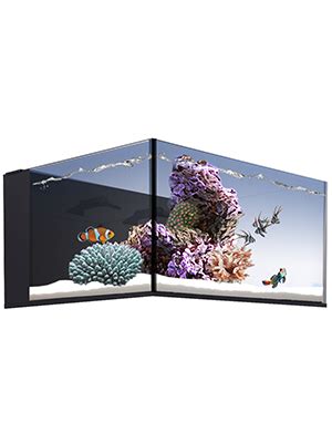 Innovative Marine Starter Kit Aquariums 25 Gallon Lagoon