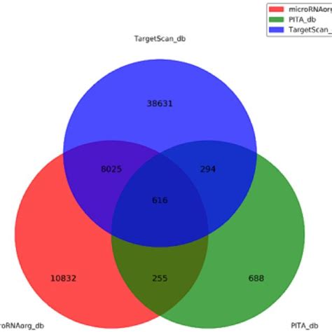Heat Map Of Microarray Results The Rows Indicate Mirnas And Columns