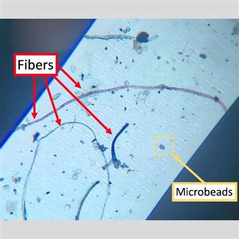 How To Test For Microplastics Microplastic Analysis Simpore
