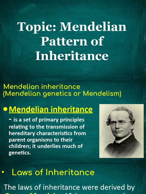Mendelian Pattern Of Inheritance Pdf Dominance Genetics Genotype