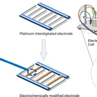 Schematic Representation Of The On Chip Sensor Platform Sensing Download Scientific Diagram