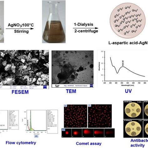 An Overview Of The Biosynthesis Characterization And Bioapplications