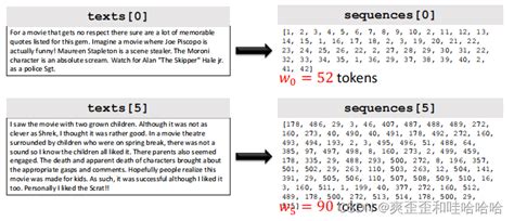 文本处理和词嵌入 Text Processing And Word Embedding文本处理imdb Text To Sequence Csdn博客