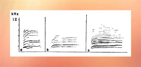 Exploring Spectral Audio Editing Tools And Techniques Production Expert