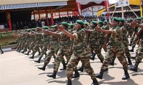Puissance Militaire Le Cameroun 21e Armée Dafrique