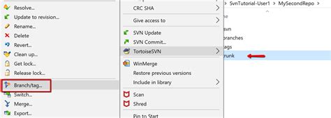 Svn Basics Module 5 Tagging And Branching Test Management
