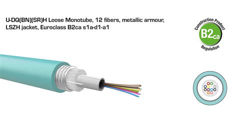Ccs Connectivity And Cabling System On Linkedin Fo Loose Cables 12 Fibers With Metallic Armour