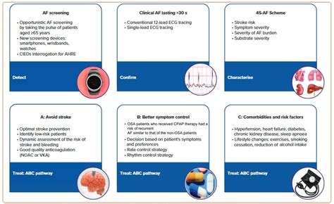 Af Patient Management Based On The 2020 Esc Guidelines Ahre Atrial