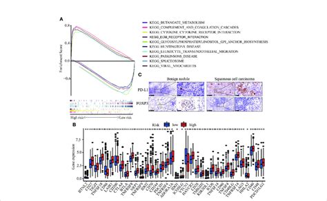 Immune Cell Infiltration In Lusc A Gsea Analysis Between High Risk