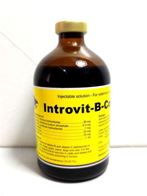[gandg] Introvit B Complex 100ml Gamefowl Cattle Goat Sheep Swine Poultry Supply Lazada Ph