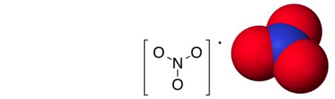 مسمومیت دختران دانش‌آموز — فکت‌نامه