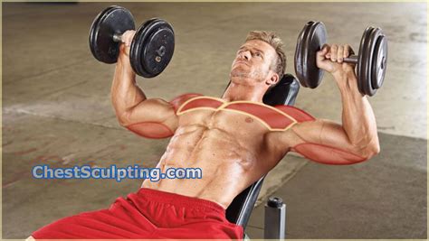 Жим на скамейке с гантелями 84 фото