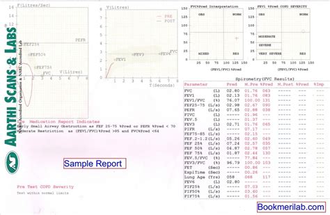 Pft Test Price Purpose Graph And Sample Report 2025 • Bookmerilab