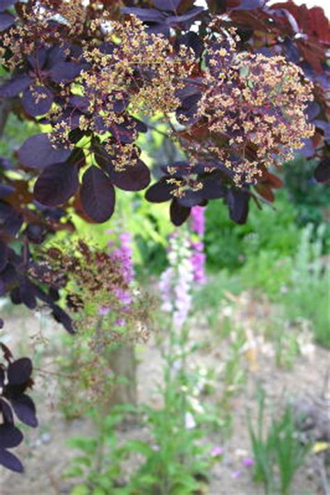 四季おりおりに 草花