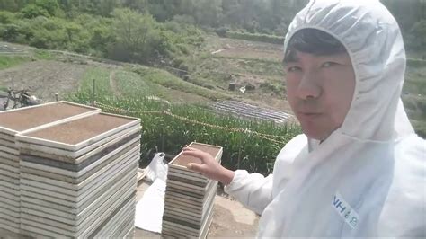 벼 육묘하기 볍씨 뿌리기전 모판 상토채우기 Youtube