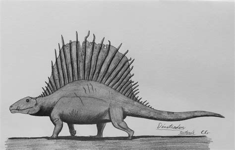 Dimetrodon Teutonis By Acrosaurotaurus On Deviantart