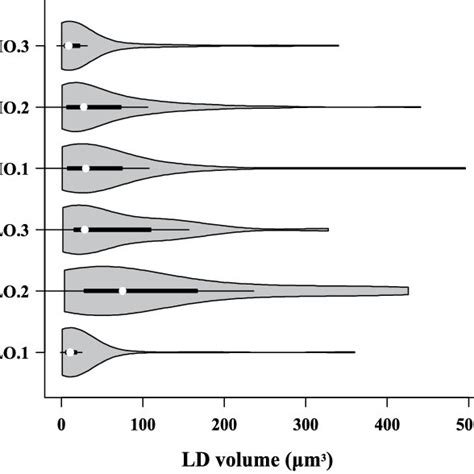 LD Size And Amounts Per Cell In LO And HO Lines Total Size And Amounts Download Scientific