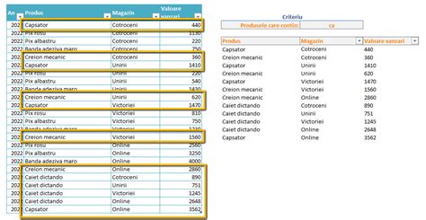 Cum Se Utilizează Formula Filter în Excel Invatam Excel