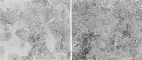 97 Microstructure Of Eutectoid Fe 08 C 021 Mn 022 Si Carbon Steel