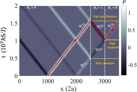 Acausal Evolution Of Antiferromagnetic Afm Magnons Across The