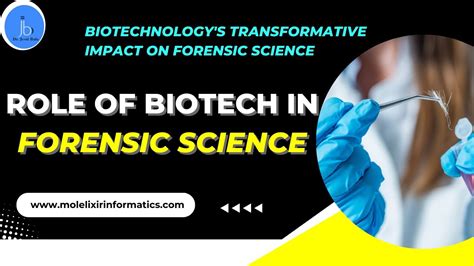 Role Of Biotech In Forensic Science Biotechnologys Transformative Impact On Forensic Science