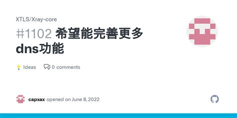 希望能完善更多dns功能 · Xtls Xray Core · Discussion 1102 · Github