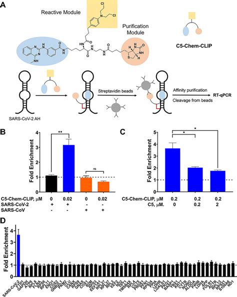 Targeting The Sars Cov 2 Rna Genome With Small Molecule Binders And Ribonuclease Targeting