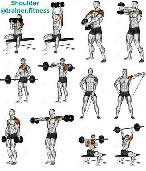 Pin By Redactedibbhwjz On Workout Schouders Shoulder Workout