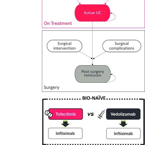 Diagram Of Markov Model And Treatment Sequences Download Scientific