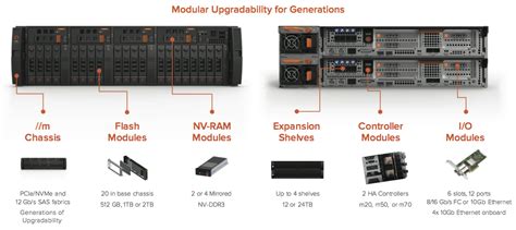 Pure Storage Announces FlashArray M Evergreen Storage And Pure PenguinPunk Net