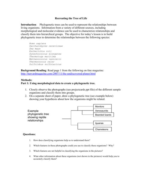 Recreating The Tree Of Life Phylogenetics Lab