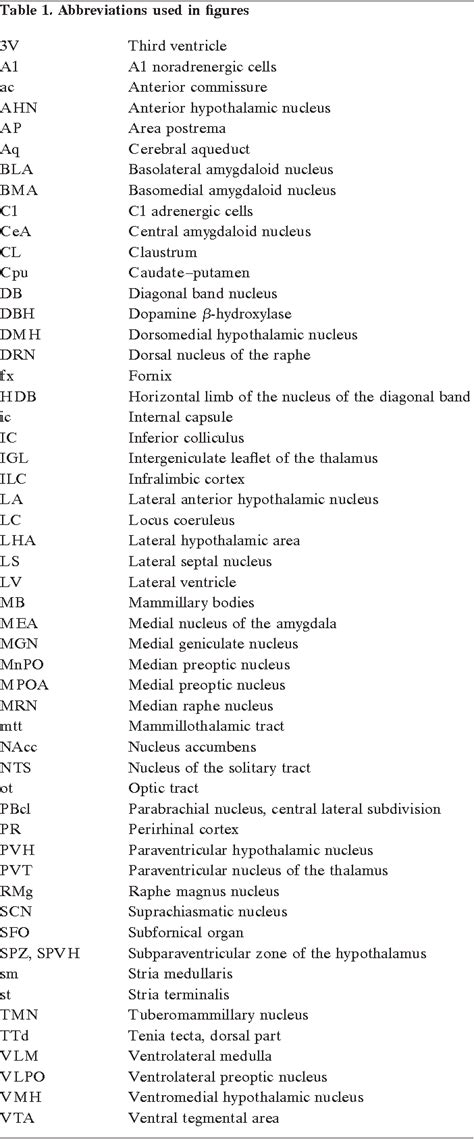 Structure Of Suprachiasmatic Nucleus Semantic Scholar