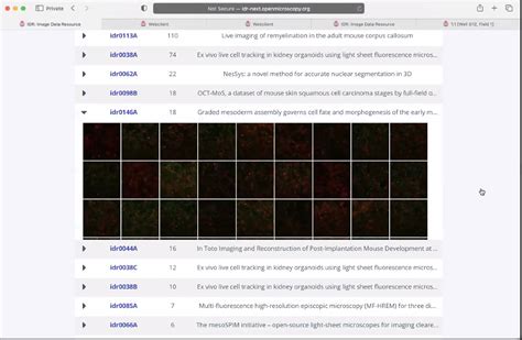 Bug Filter Images By Container Name · Issue 79 · Omeomerosearchengine · Github