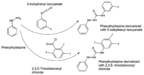 Derivatization Scheme For Liquid Chromatography Inductively Coupled Download Scientific