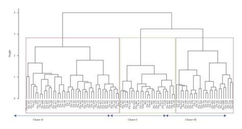 Hierarchical Cluster Dendrogram Based On Gower Distance Matrix Of