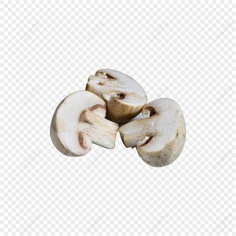 Agaricus Bisporus Wild Strain Nutrition Strain Agaricus Bisporus