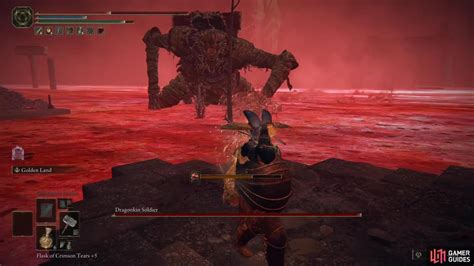 All Bosses And Elite Enemies In Lake Of Rot Bosses Lake Of Rot