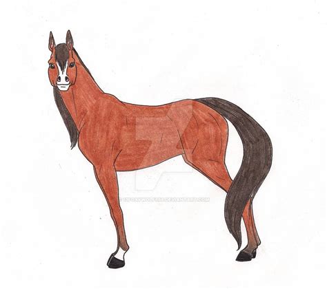 Horsie By 13foxywolf666 On Deviantart